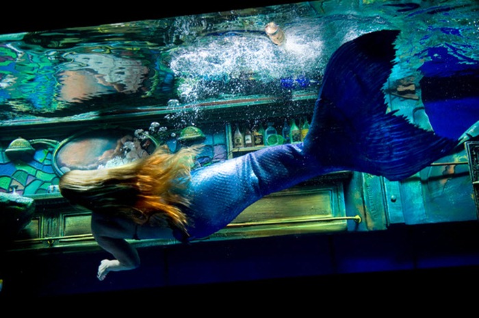 Mermaid Bar at Sacramento | Amusing Planet